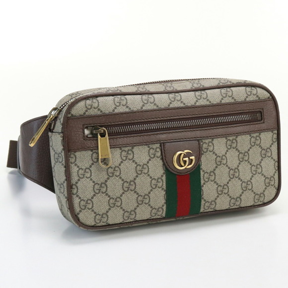 Gucci | Bags | Gucci Gucci Belt Bag Ophidia 574796 97sit 8747 Body Pvc ...